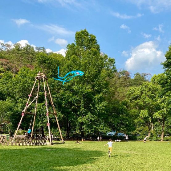 惠蓀實驗林場｜親子旅遊享受森林浴的時光，步道路線推薦｜惠蓀林場一日遊行程、門票、住宿 - 好好玩FUNIT 2026